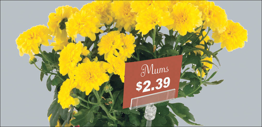 Add Signs to Floral and Plant Displays - Point of Purchase ...