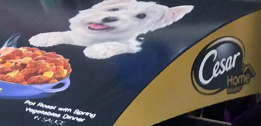 Floor Display Delivers Home Delights For Dogs - Point of Purchase ...