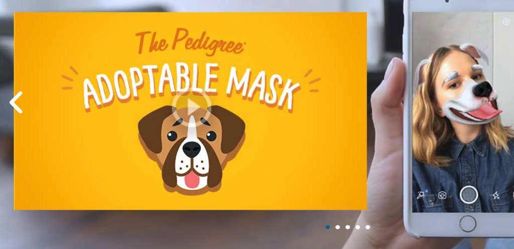 PEDIGREE Uses Facebook To Raise Awareness For Pet Adoption - Point of ...