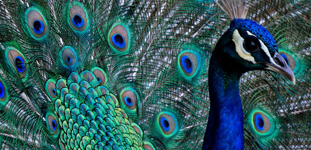 Hop-Syn Sales Increase by Twenty-Five Percent - Point of Purchase ...