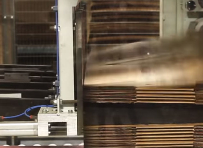 Burpee Display System Helps Grow Powerful Plants - Point of Purchase ...