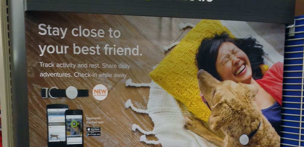 Petco Taking Strategic Approach To Endcap Displays - Point of Purchase ...